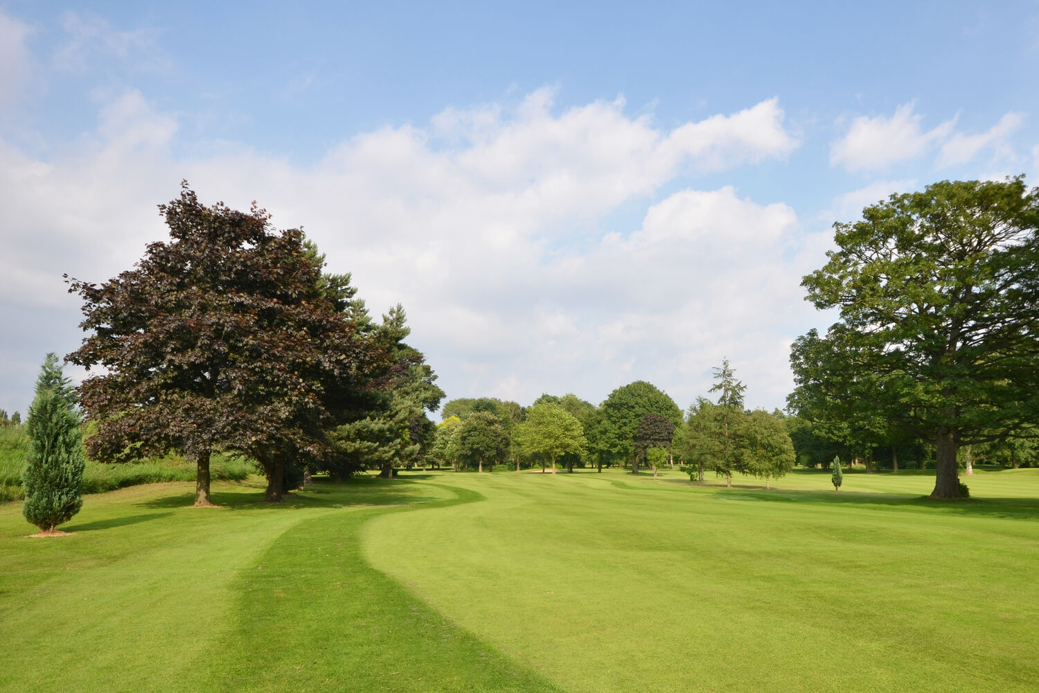 Hole 6 :: Northenden Golf Club